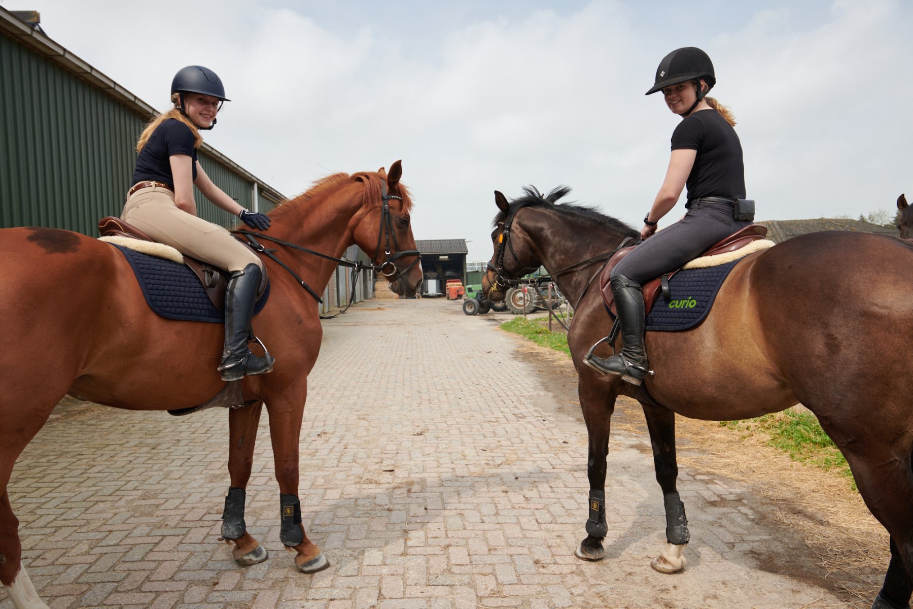Paardensport en -houderij | Curio