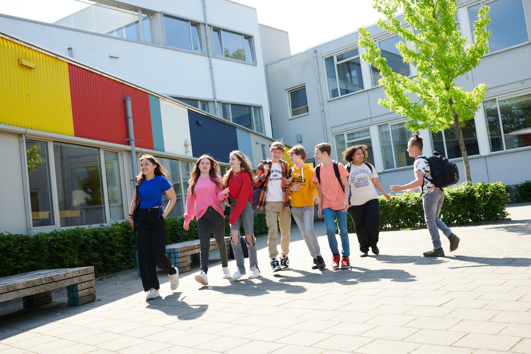 Welke uitdaging ga jij aan? | Curio