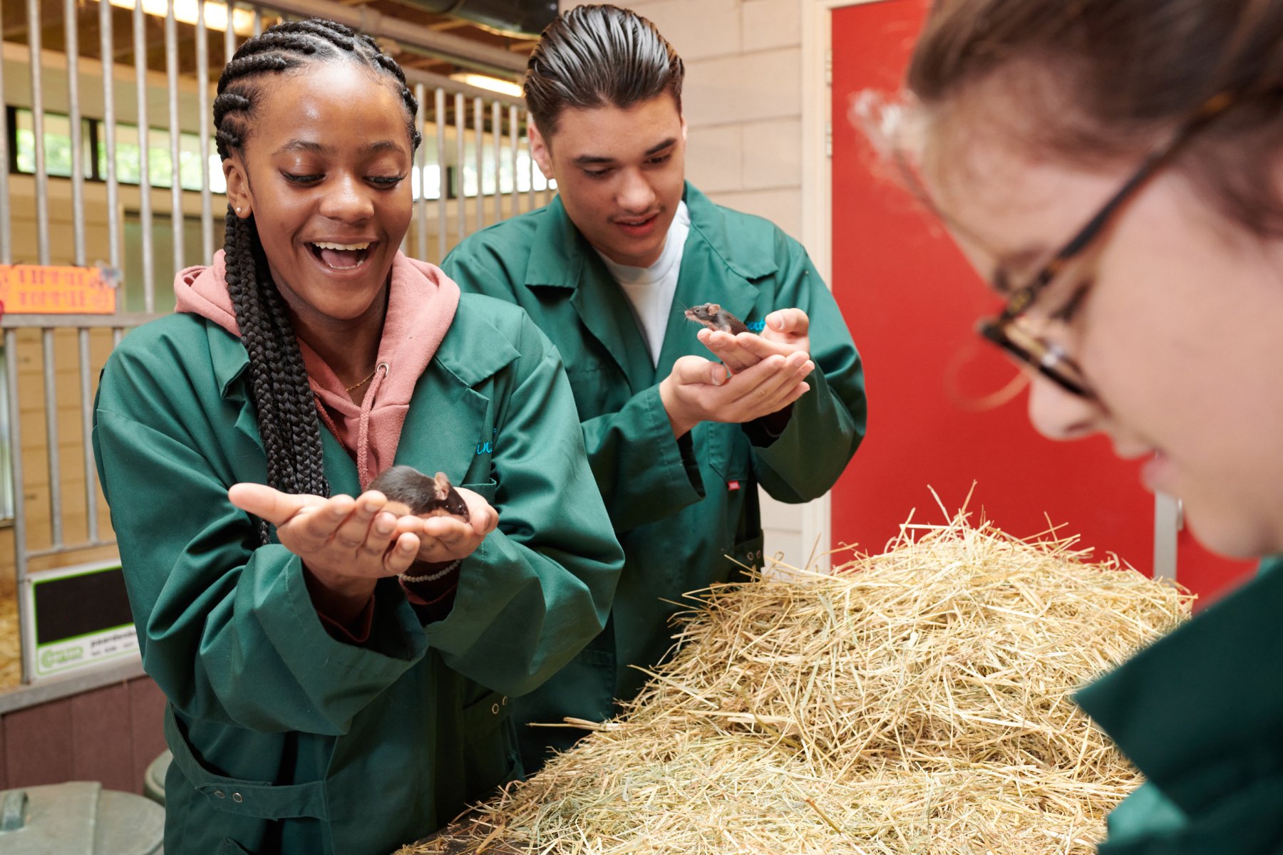 Profielen bij Curio prinsentuin van cooth | Curio