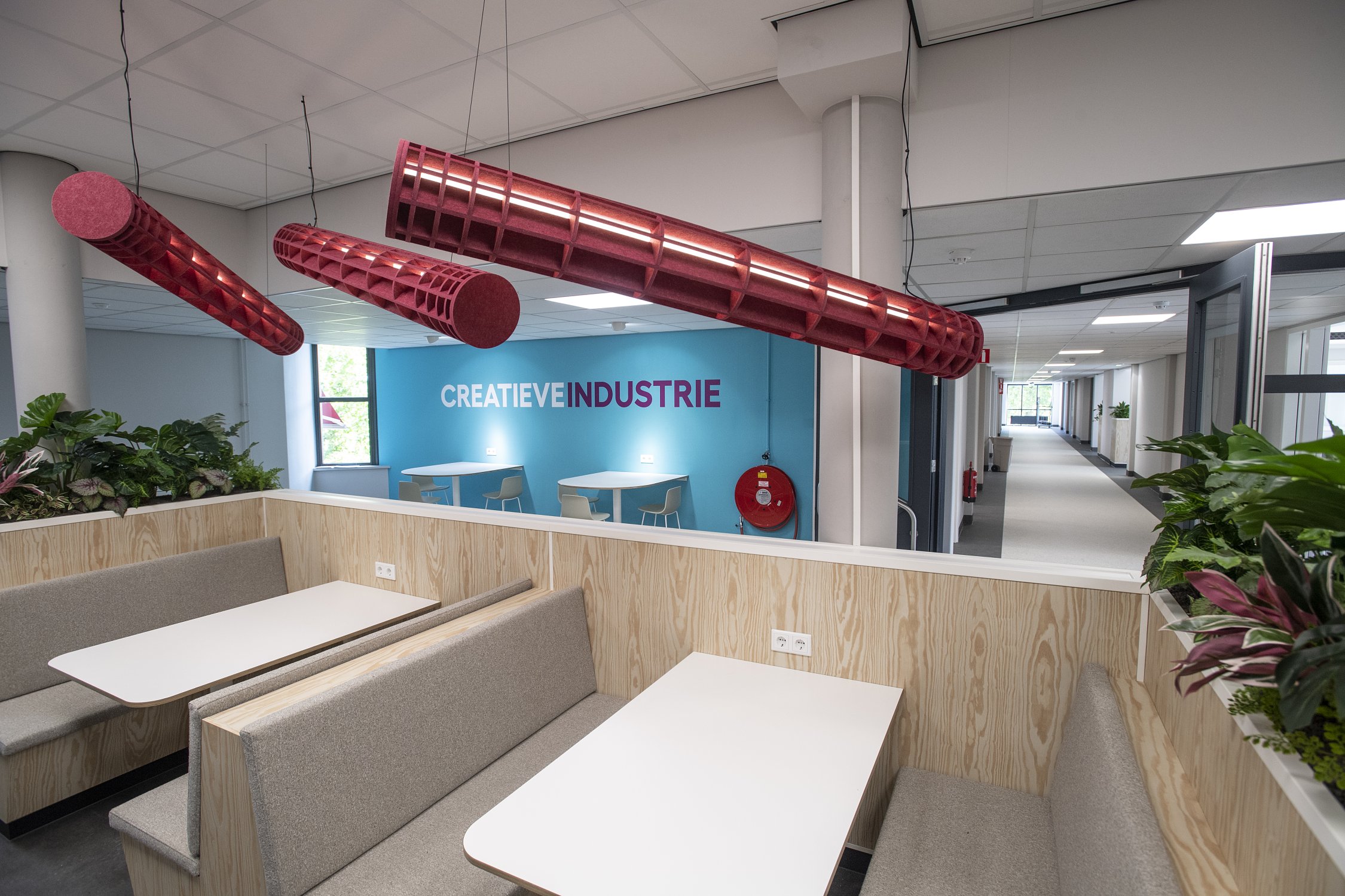 Wij bouwen verder aan creatieve industrie | Curio