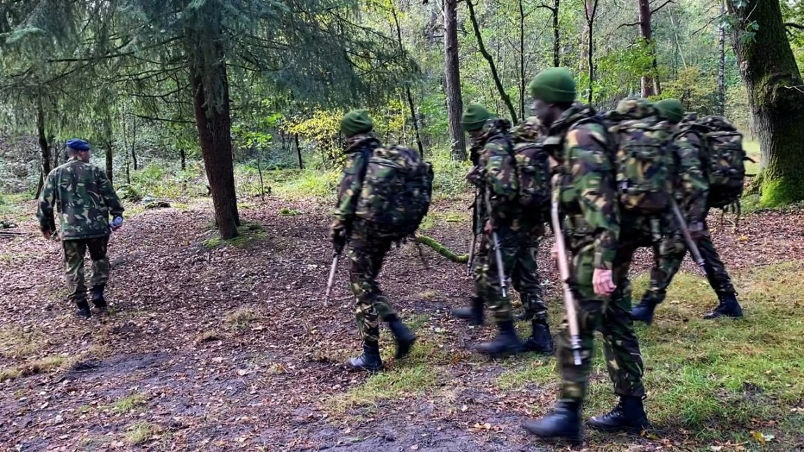 Beveiliger niveau 3 | Curio