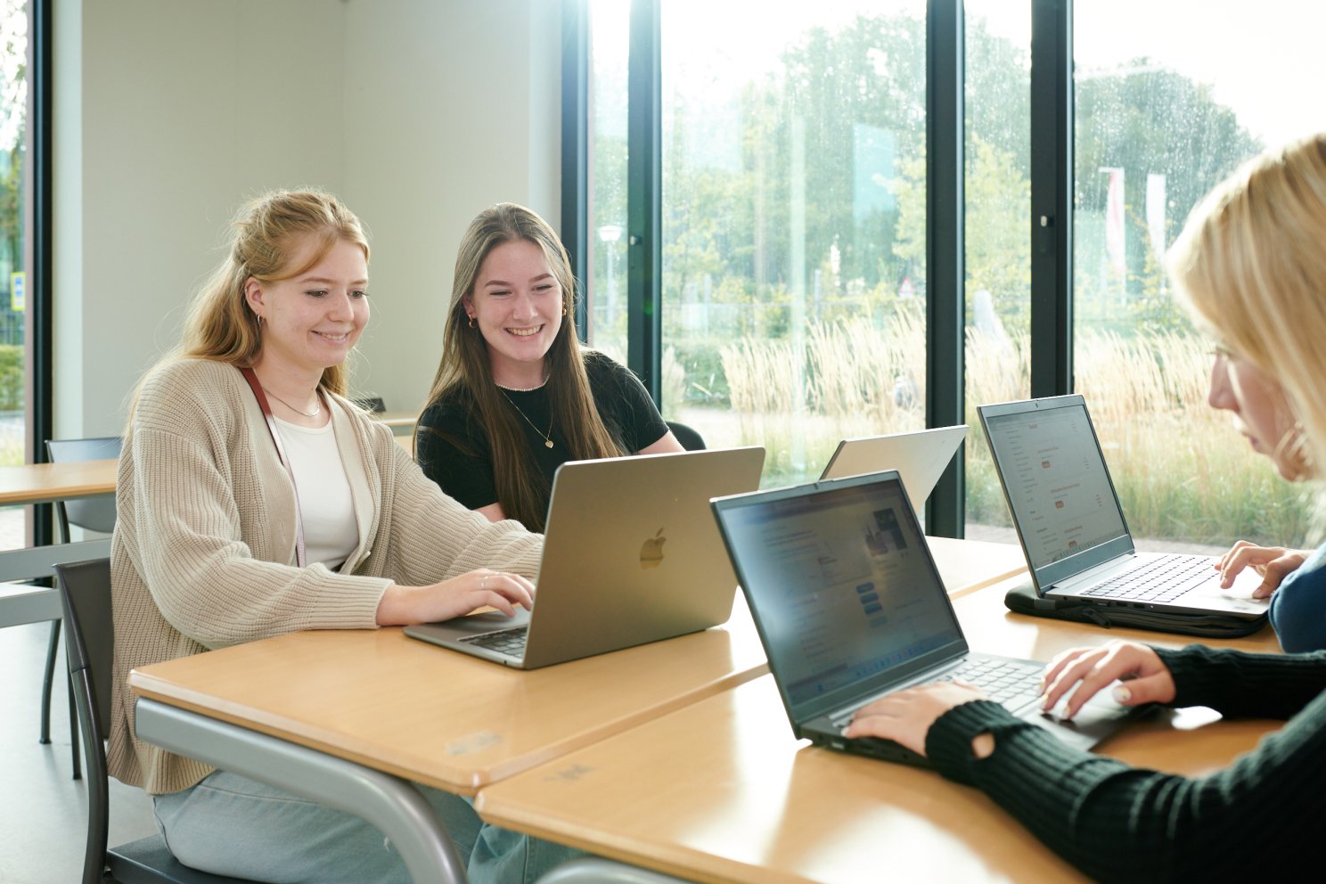 Sociaal werker | Curio