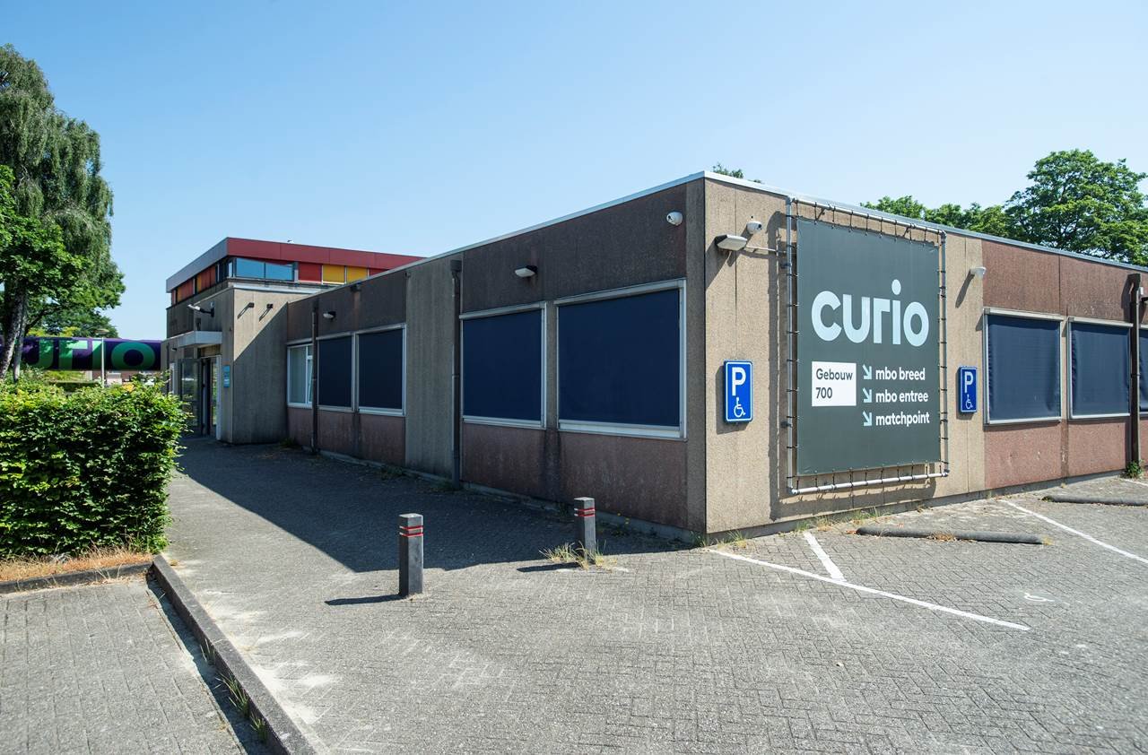 Mbo breed | Curio